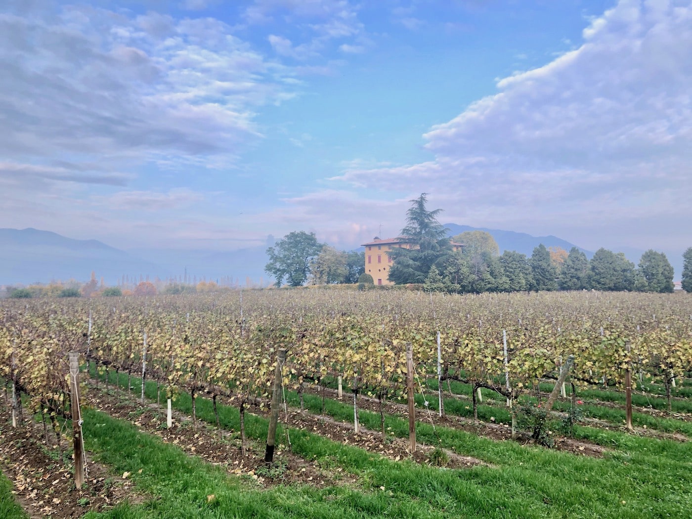 A Guide to Franciacorta Wine Region - the TRAVEL ABSTRACT
