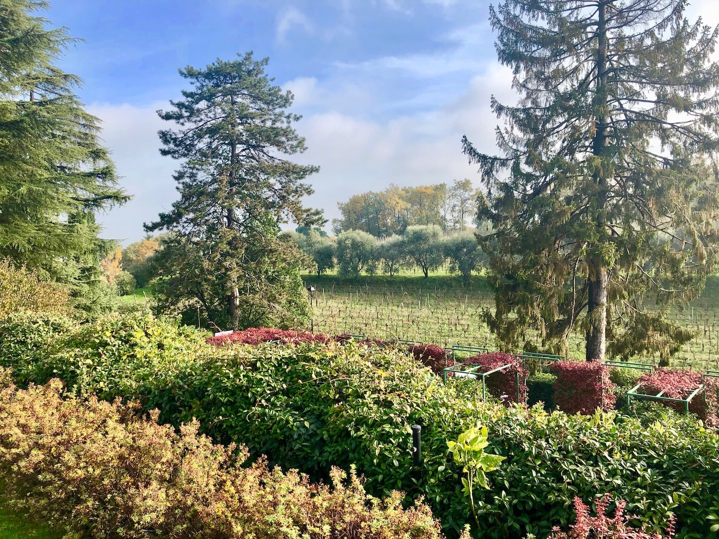 A Guide to Franciacorta Wine Region - the TRAVEL ABSTRACT